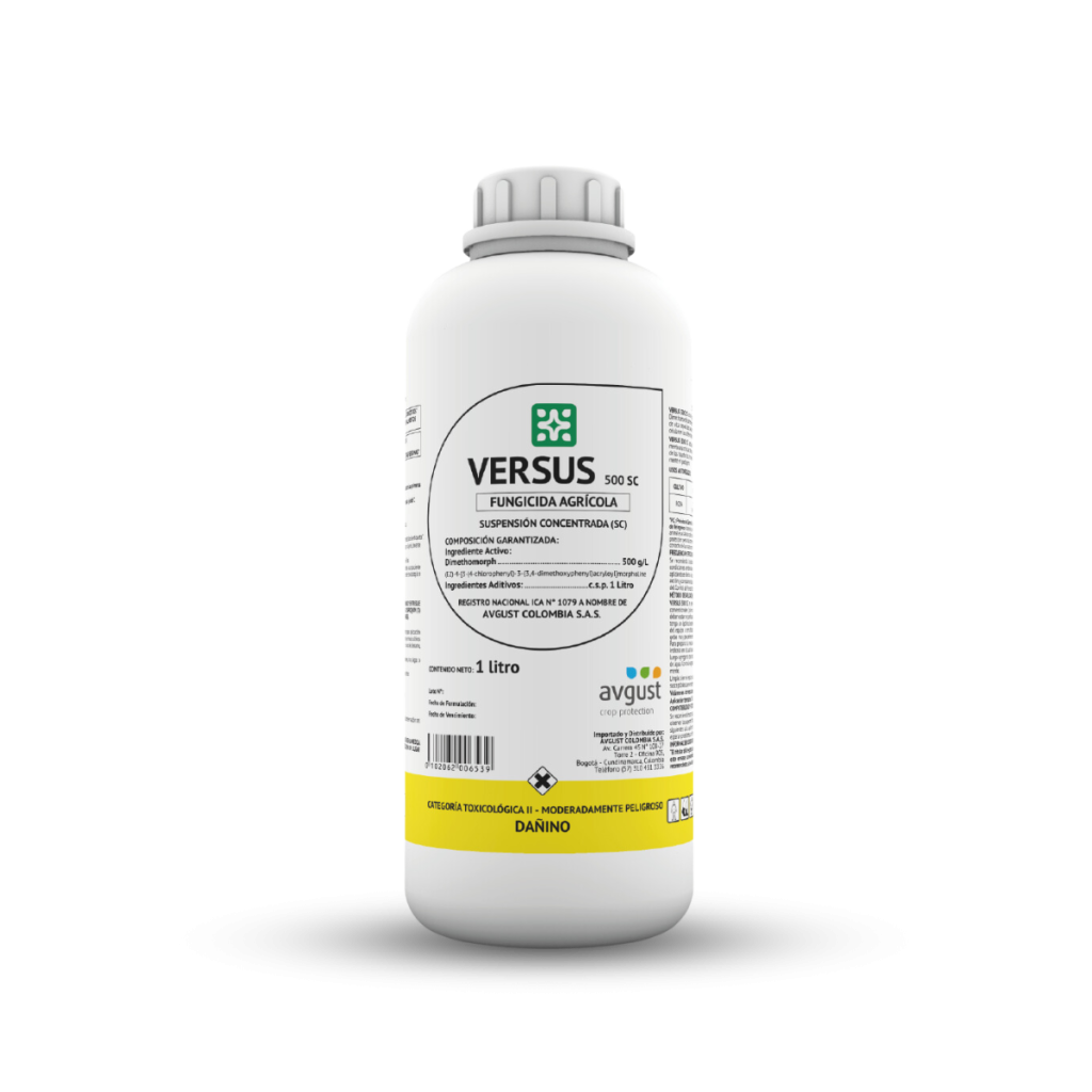 VERSUS 500 SC – Avgust